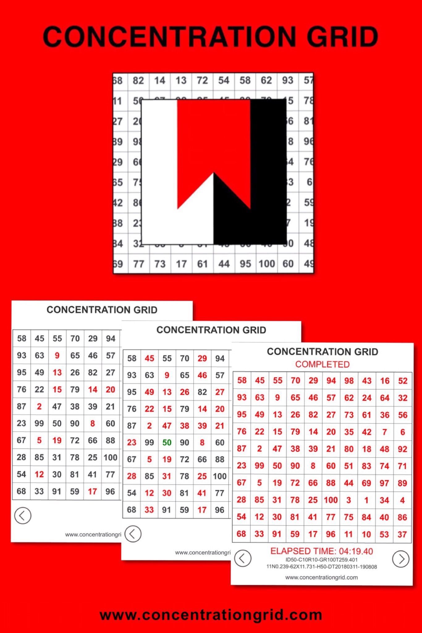 IMG_8671 – CONCENTRATION GRID
